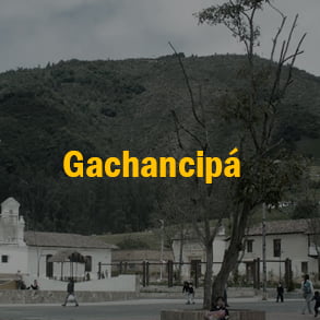 Descuentos y Becas - Universidad de Ciencias Aplicadas y Ambientales U ...